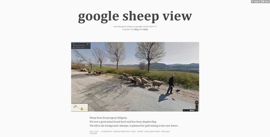 Google Street View'dan ilham alan proje Google Sheep View - Sosyal Medya